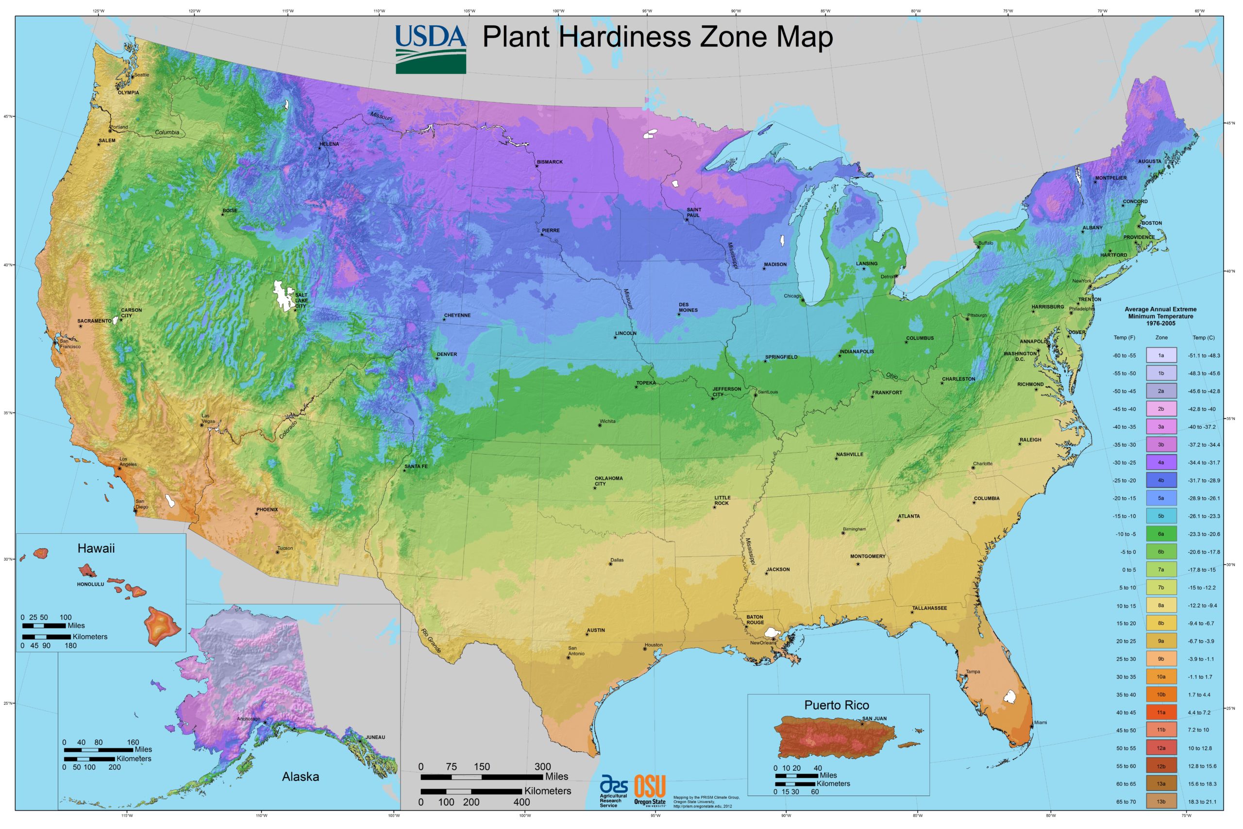 How To Find Your Plant Hardiness Zone - Salt & Spade